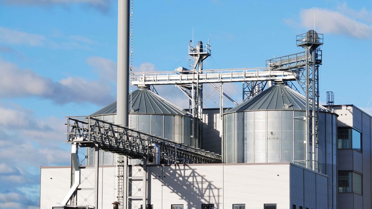 Sovelia Plant 2026 Release News | Sovelia